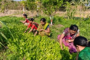 The 4 Key Principles Of Organic Farming: A Comprehensive Guide In ...