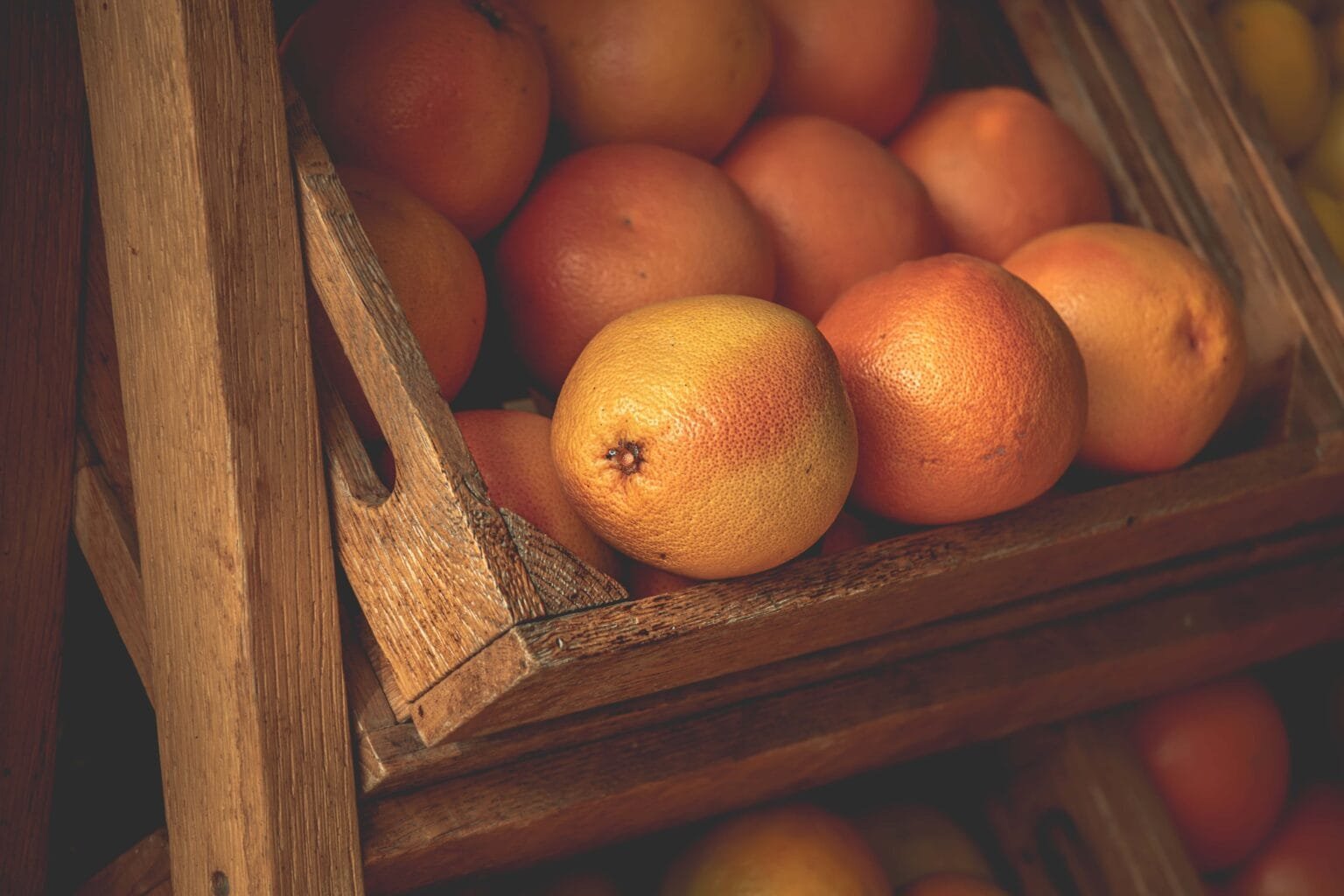 5 Powerful Reasons Mandarin Oranges Are Shaping Northeast India’s ...