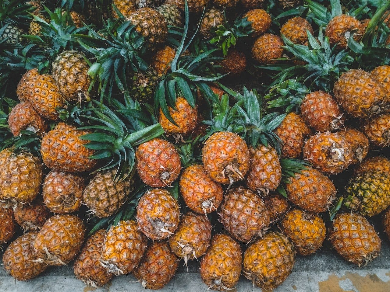 5 Incredible Benefits Of Queen Pineapple And Its Role In Mittimind Farms